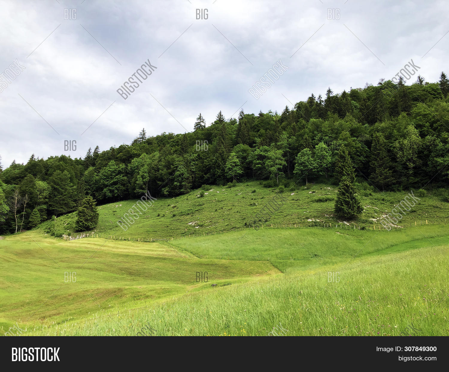 Alpine Pastures Image & Photo (Free Trial) | Bigstock