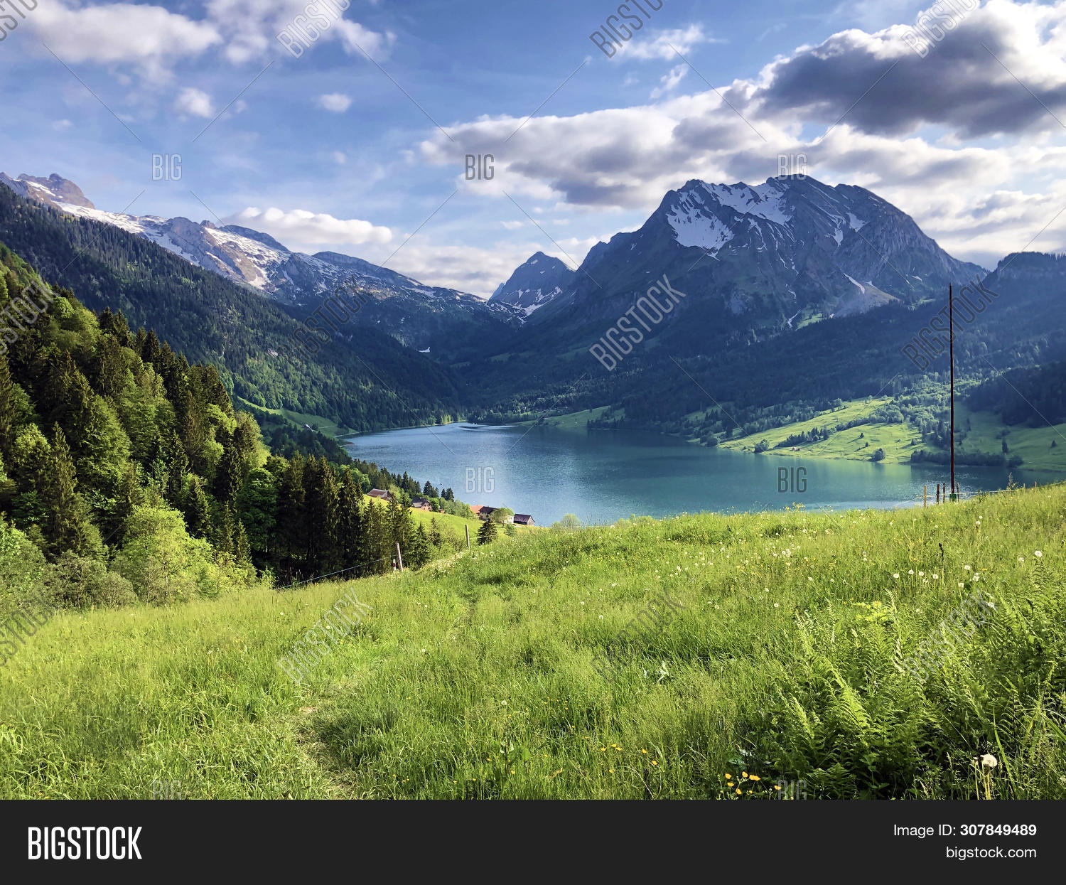 Alpine Pastures Image & Photo (Free Trial) | Bigstock