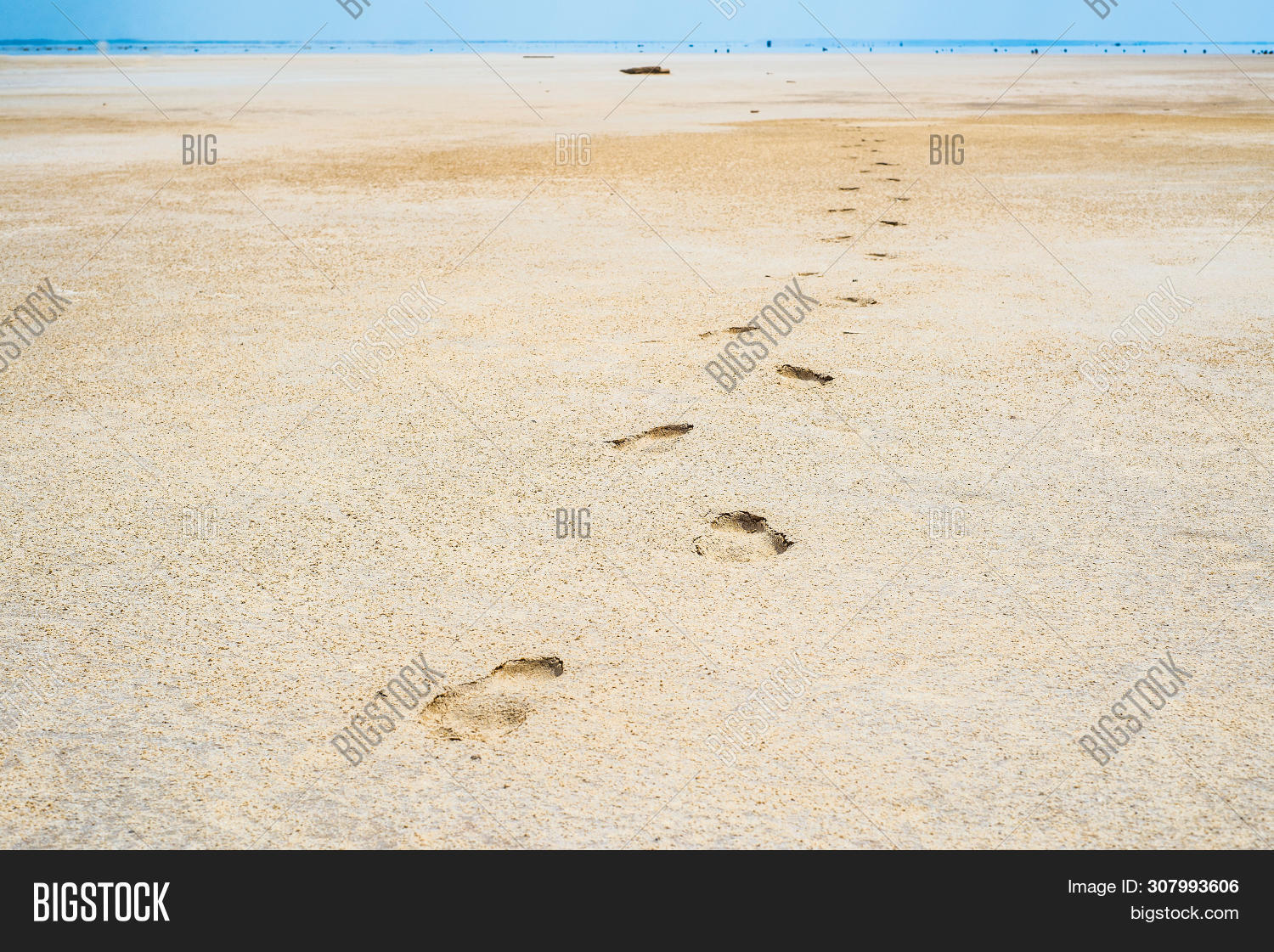 Traces Human Legs Image & Photo (Free Trial) | Bigstock