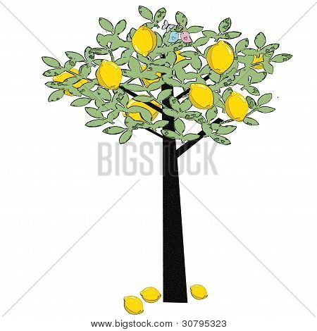 Lemon Tree Love Birds Image & Photo (Free Trial) | Bigstock