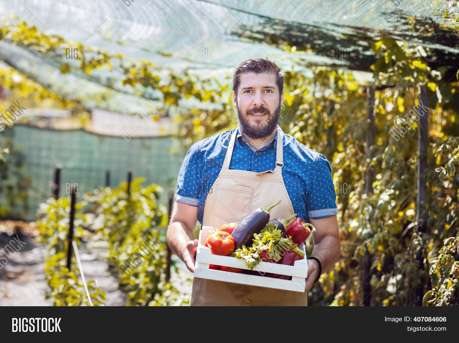 Man Harvesting Fresh Image & Photo (Free Trial) | Bigstock