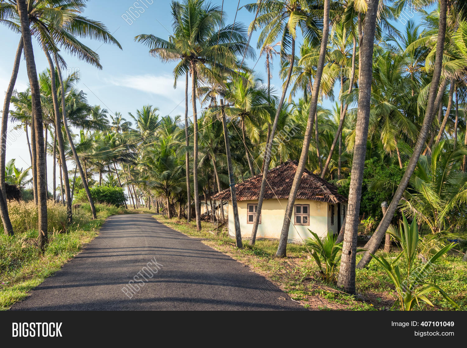 South Indian Rural Image & Photo (Free Trial) | Bigstock