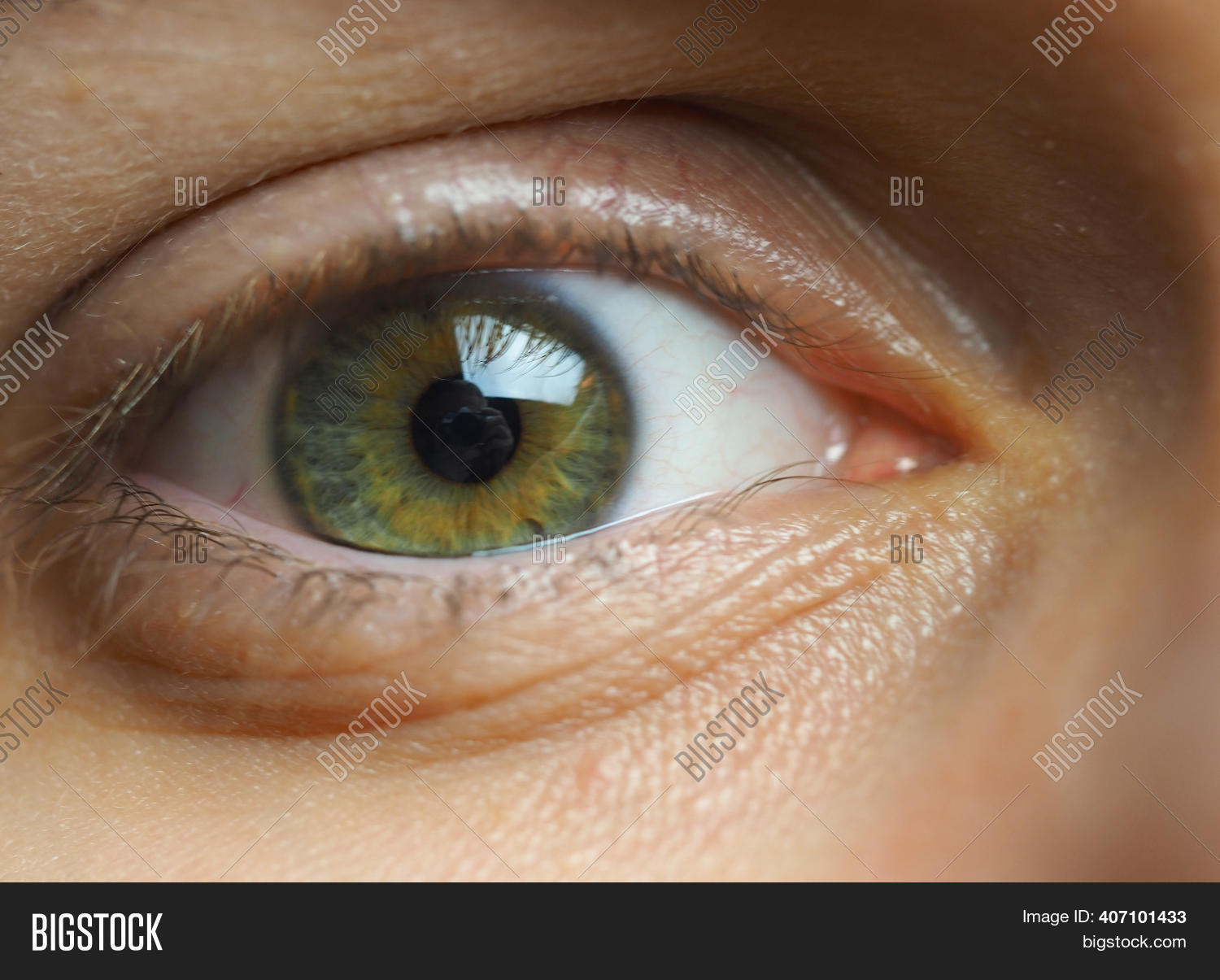 Mans Eye. Image & Photo (Free Trial) | Bigstock