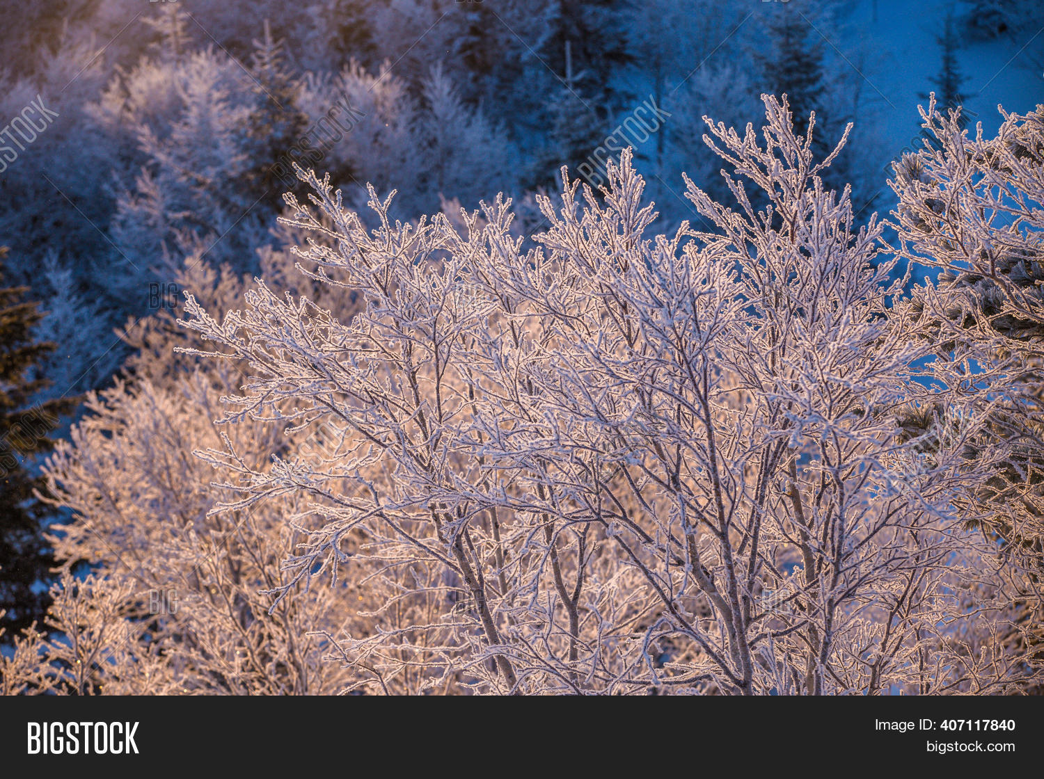 Beautiful Winter Image & Photo (Free Trial) | Bigstock