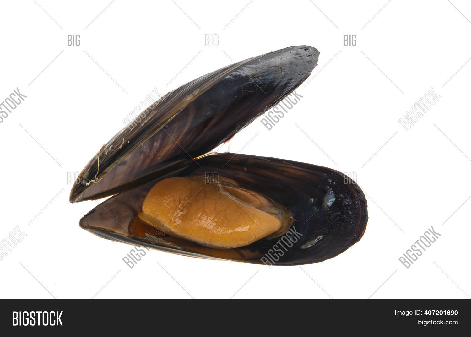 Mussels Shellfish Image & Photo (Free Trial) | Bigstock