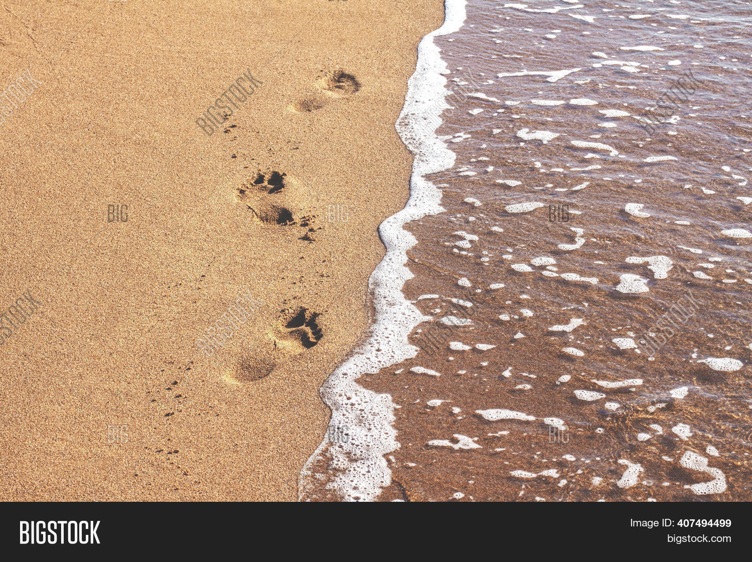 Deep Footprints Human Image & Photo (Free Trial) | Bigstock