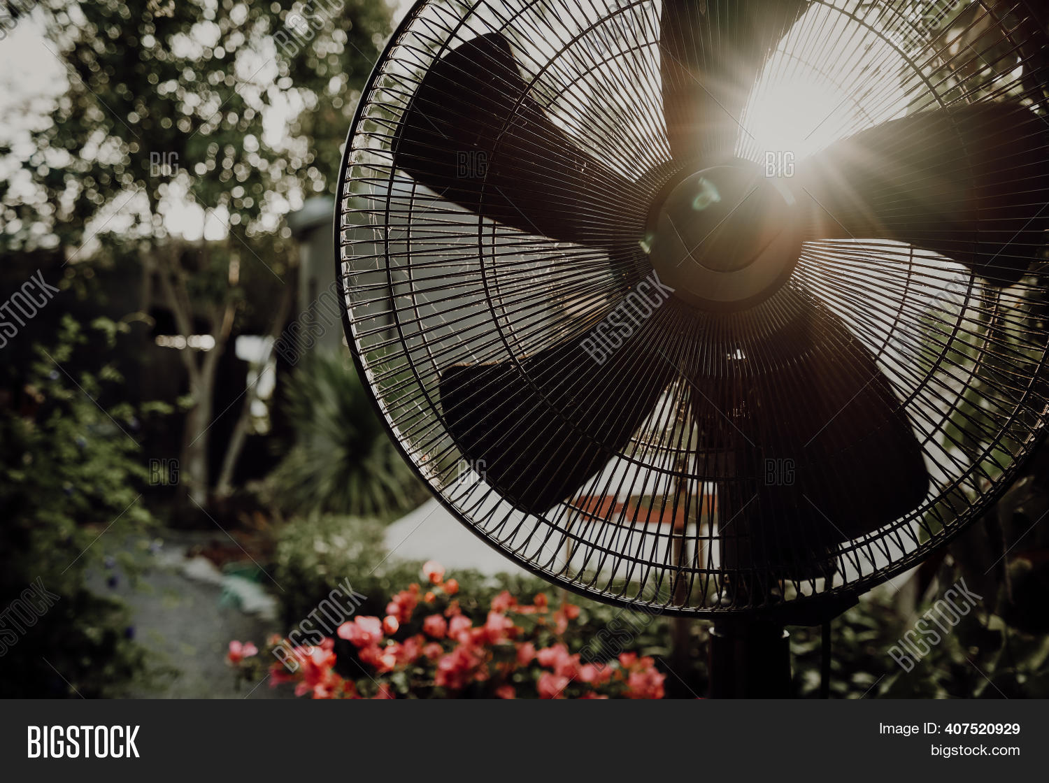 Single Object. Image & Photo (Free Trial) | Bigstock