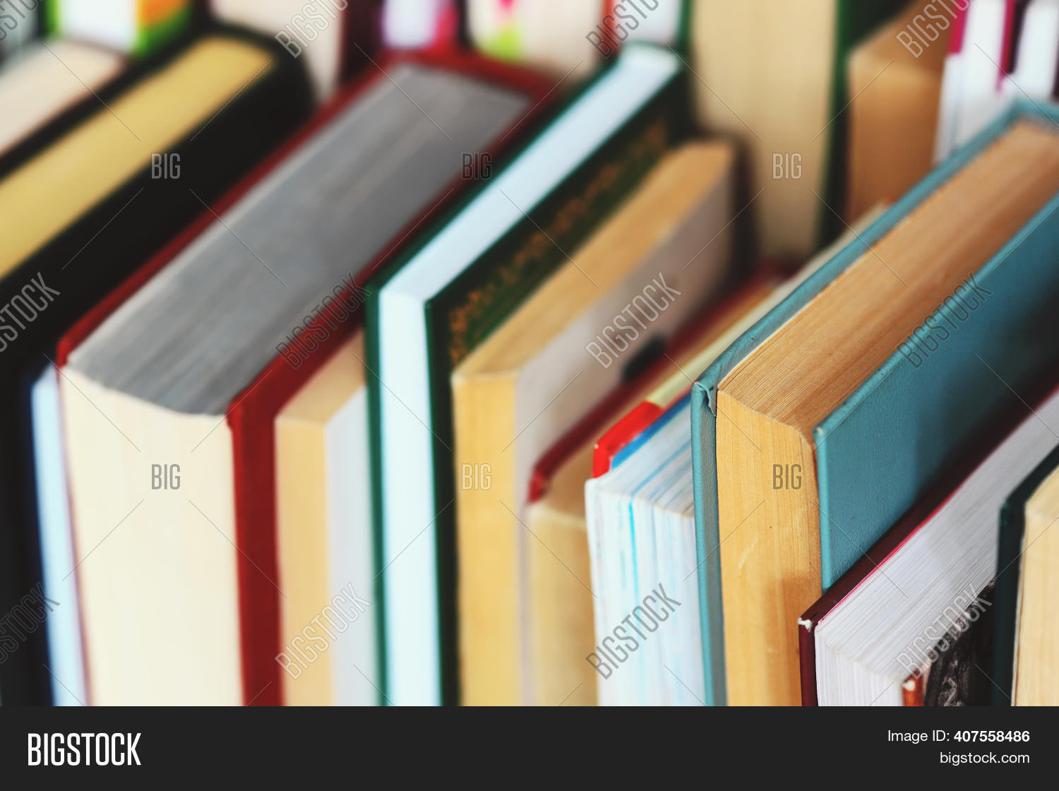 This Books Standing Image & Photo (Free Trial) | Bigstock
