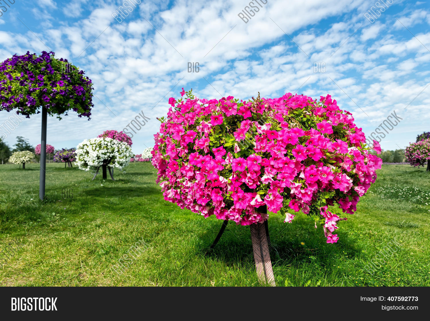 Scenic View Beautiful Image & Photo (Free Trial) | Bigstock
