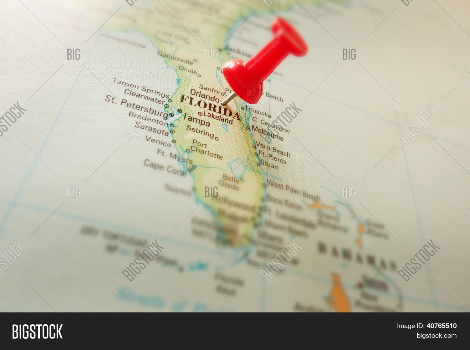 Florida Map Image & Photo (Free Trial) | Bigstock