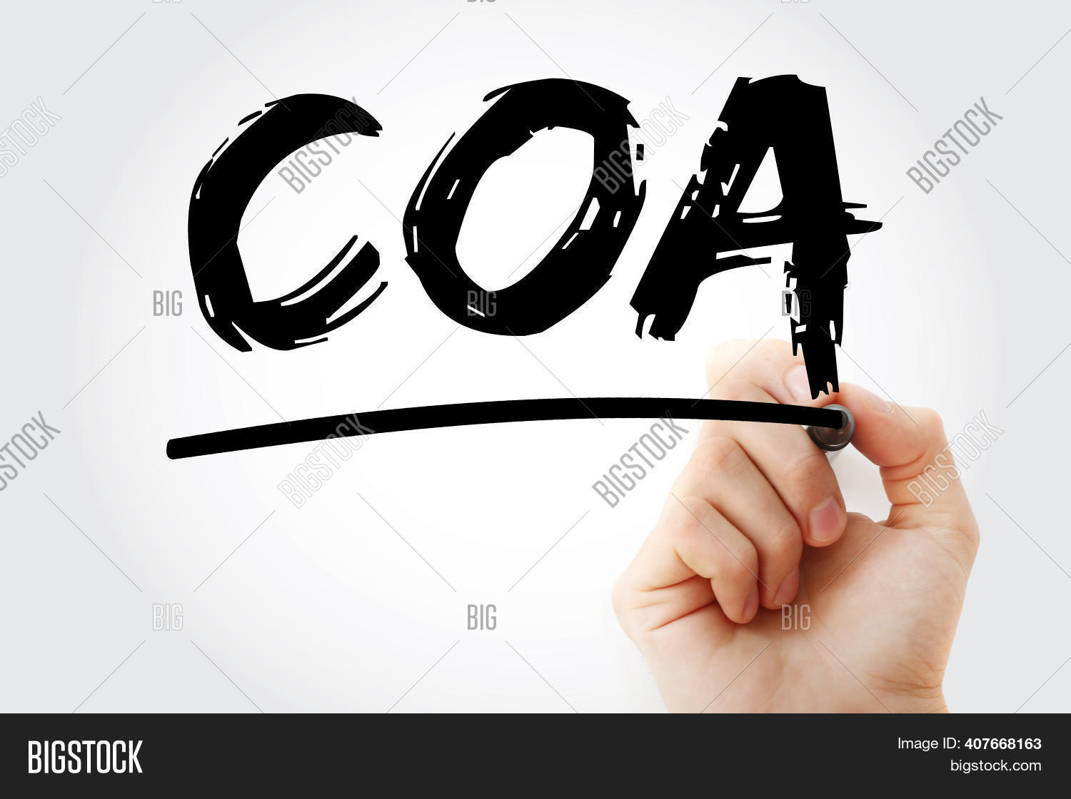 Coa - Chart Account Image & Photo (Free Trial) | Bigstock