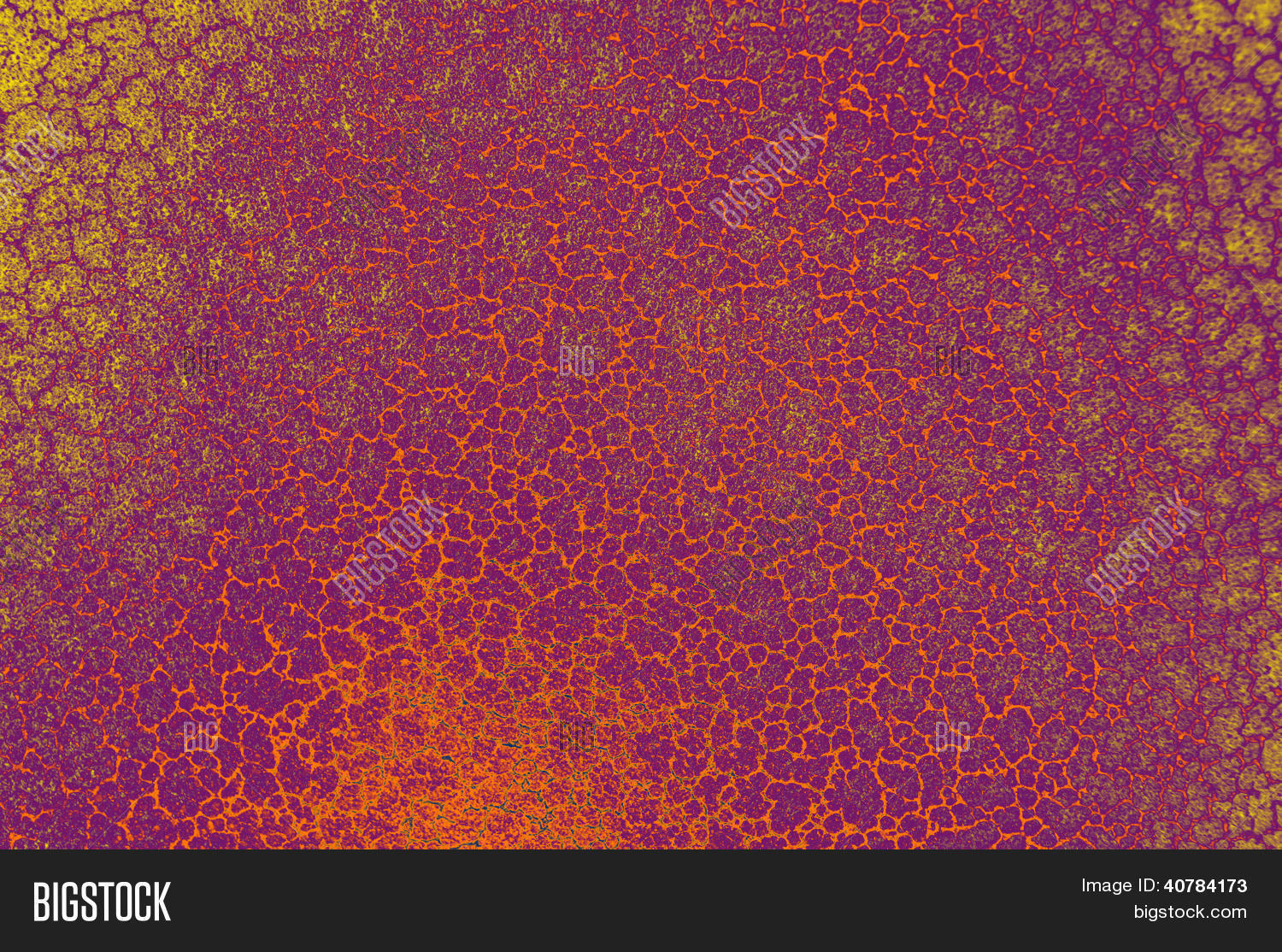 Seamless Crackle Image & Photo (Free Trial) | Bigstock