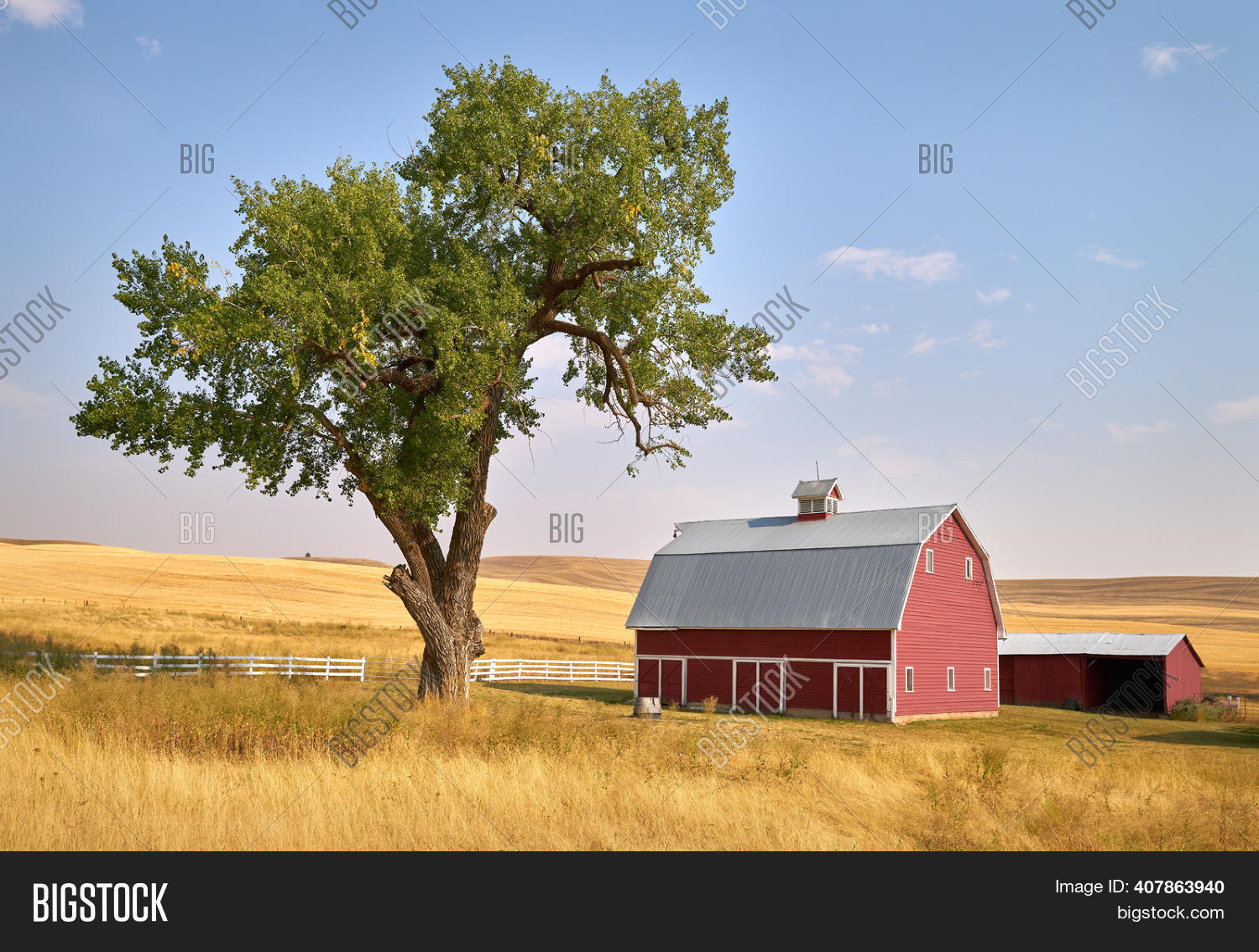 Red Barn Tree Sunshine Image & Photo (Free Trial) | Bigstock
