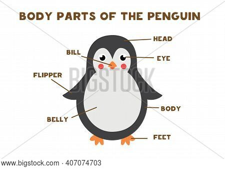 Body Parts Penguin. Vector & Photo (Free Trial) | Bigstock