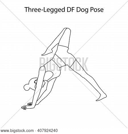 Three-legged Df Dog Vector & Photo (Free Trial) | Bigstock