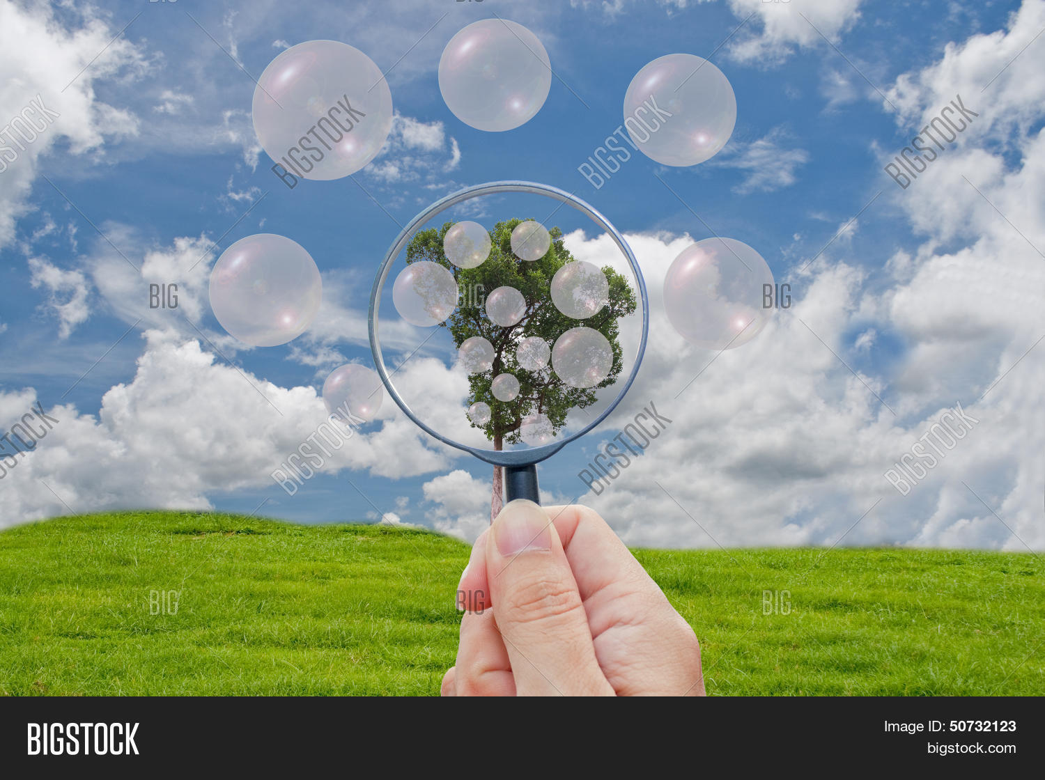 Tree Give Fresh Air Image & Photo (Free Trial) | Bigstock