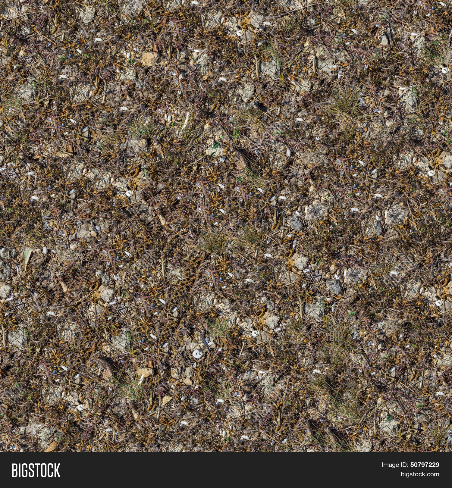 Seamless Texture Rocky Image & Photo (Free Trial) | Bigstock