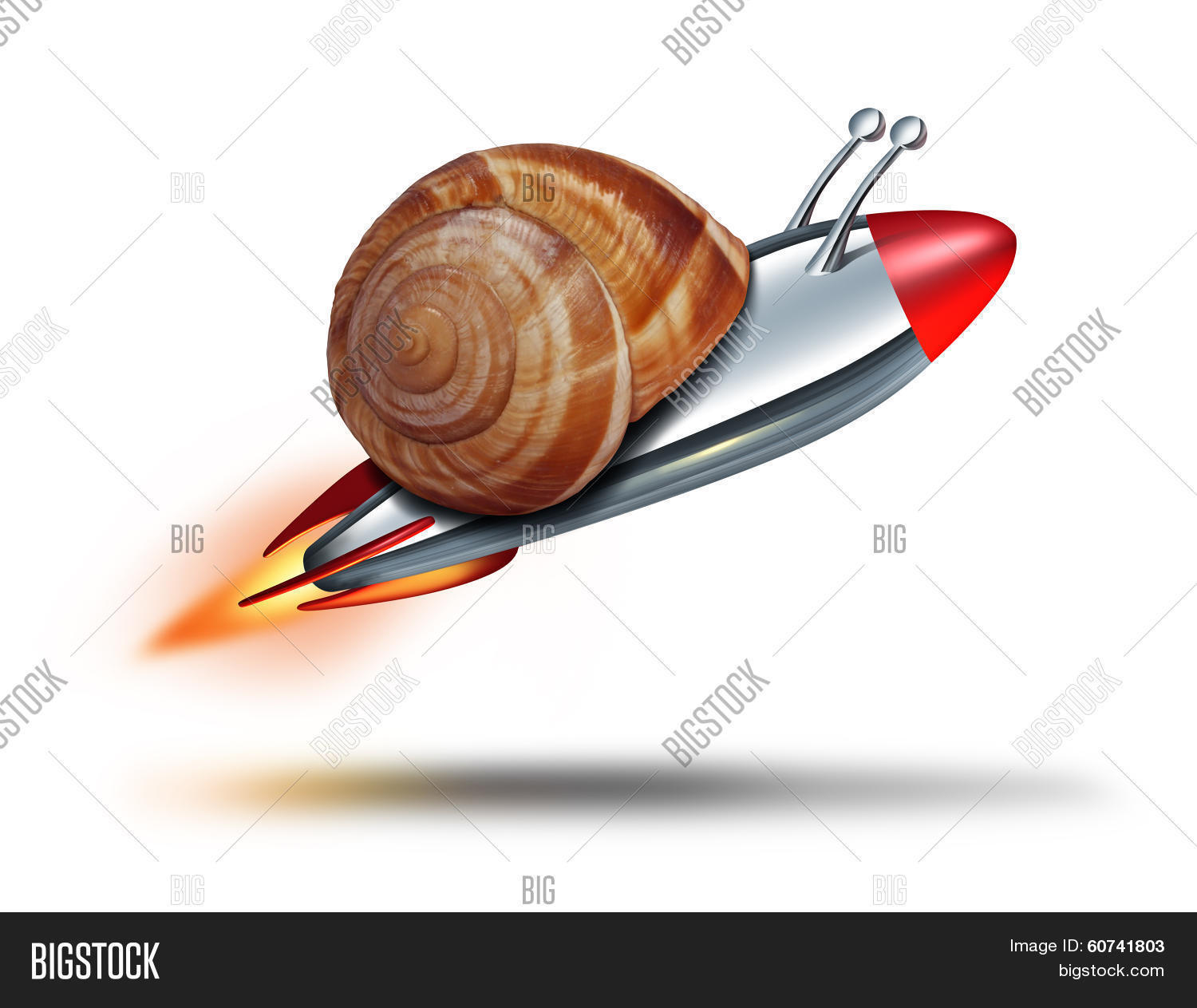 Fast Snail Image & Photo (Free Trial) | Bigstock