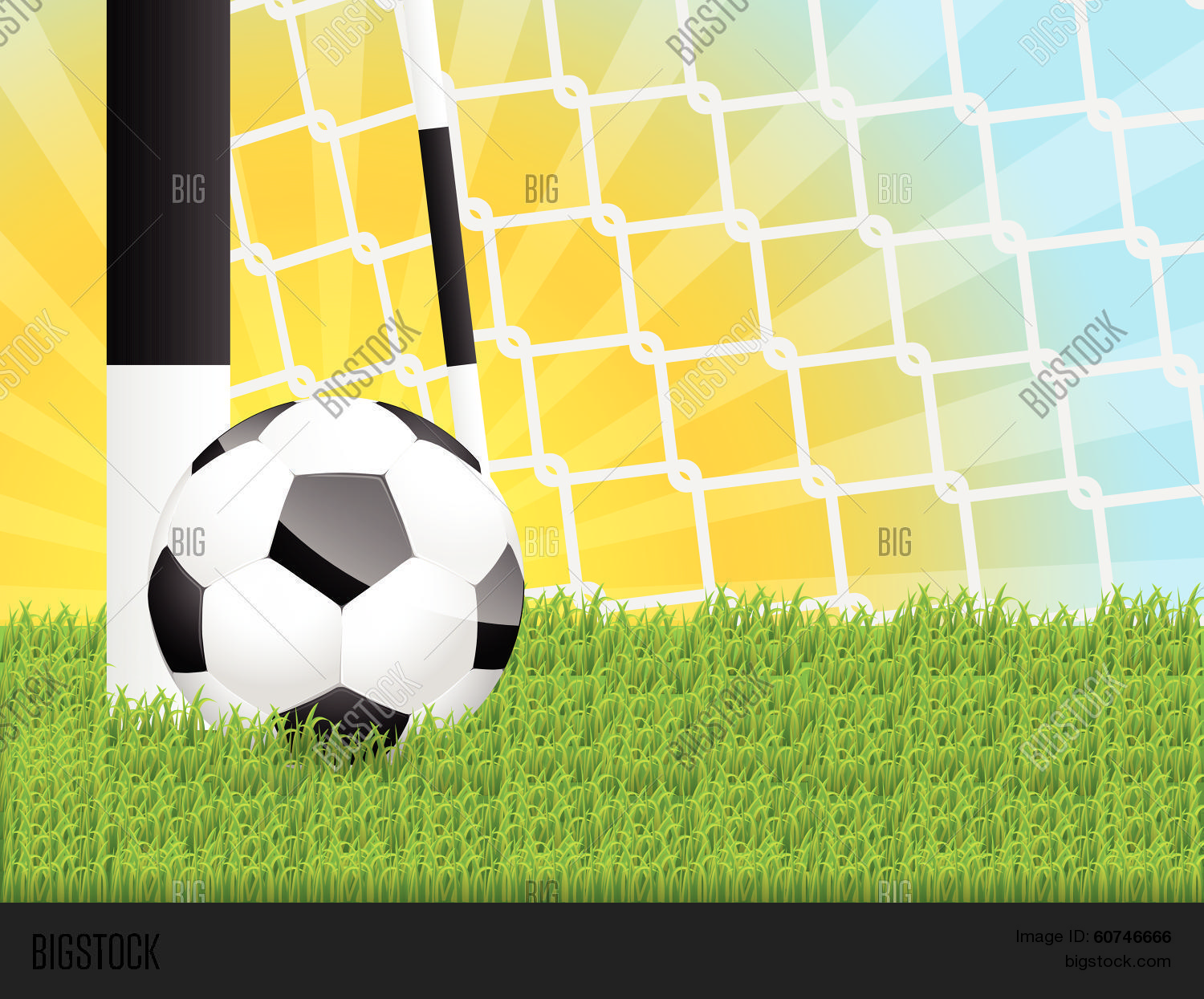 Classic Soccer Ball Vector & Photo (Free Trial) | Bigstock