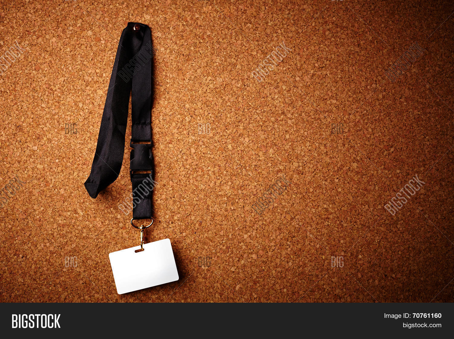 Vip Backstage Pass Image & Photo (Free Trial) | Bigstock