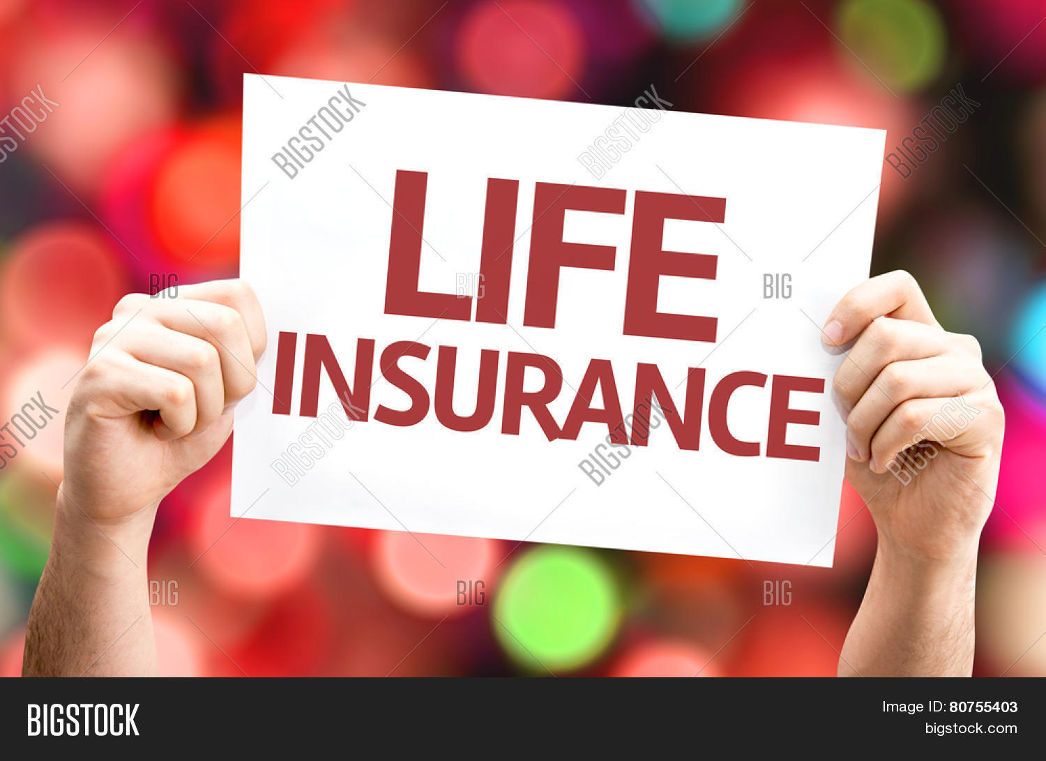 Life Insurance Card Image & Photo (Free Trial) | Bigstock