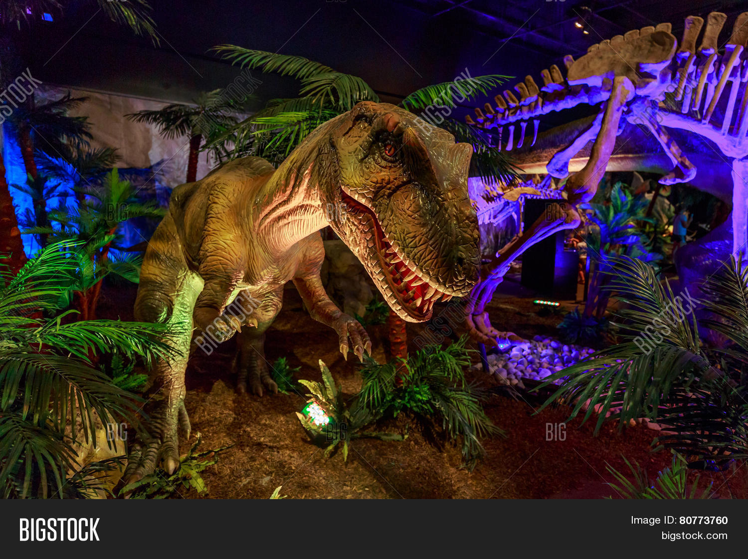 Dinasours Unearthed - Image & Photo (Free Trial) | Bigstock