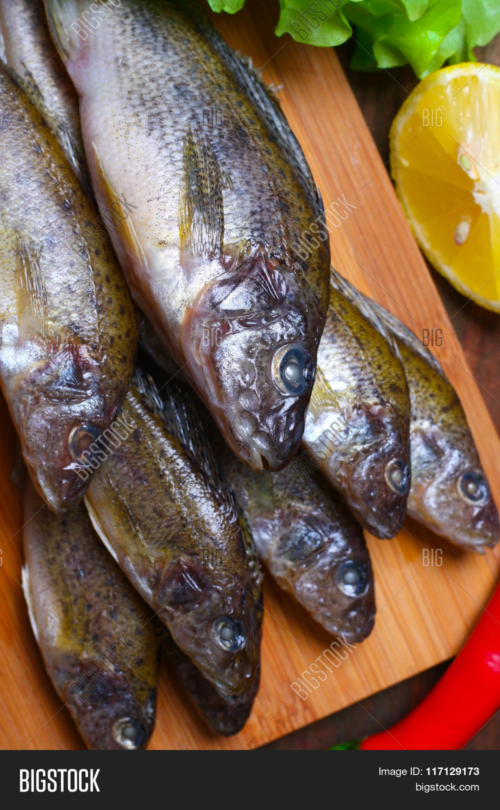 Raw Redfish Ruff Fish Image & Photo (Free Trial) | Bigstock