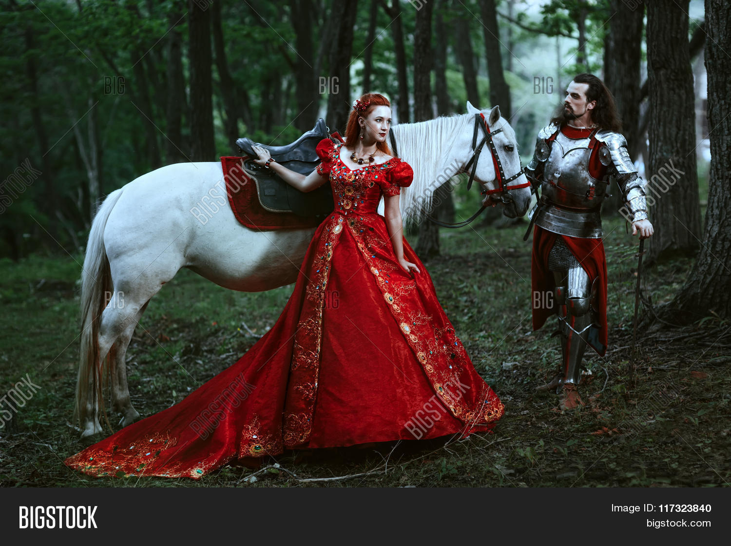 Medieval Knight Lady Image & Photo (Free Trial) | Bigstock