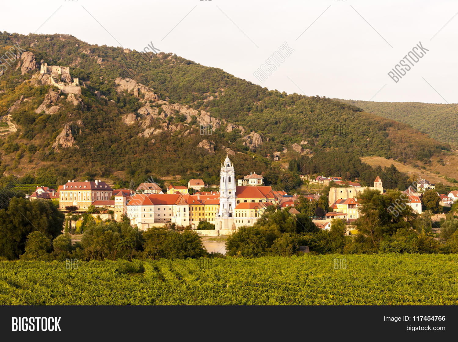Durnstein Vineyard Image & Photo (Free Trial) | Bigstock