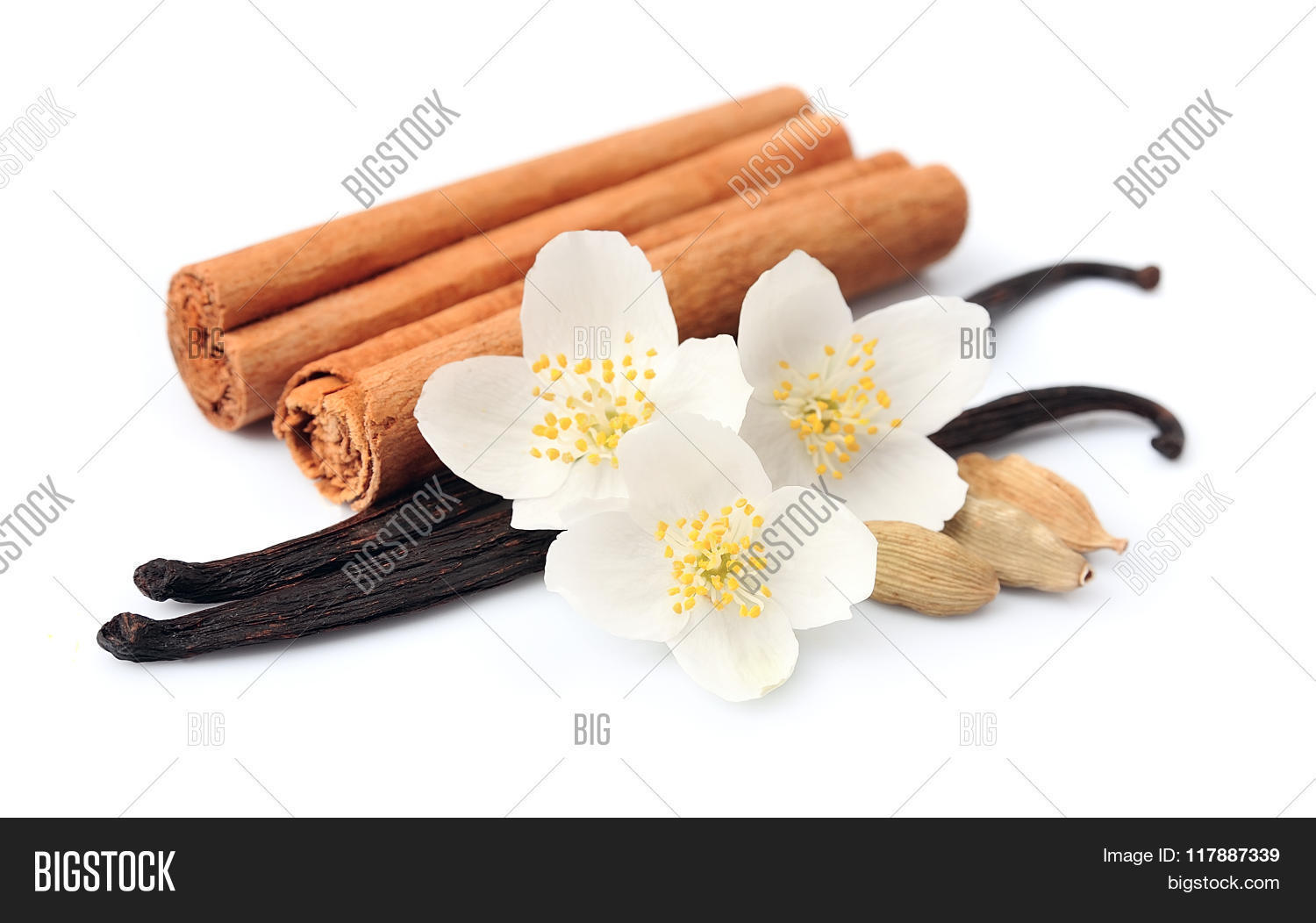 Vanilla Sticks Image & Photo (Free Trial) | Bigstock