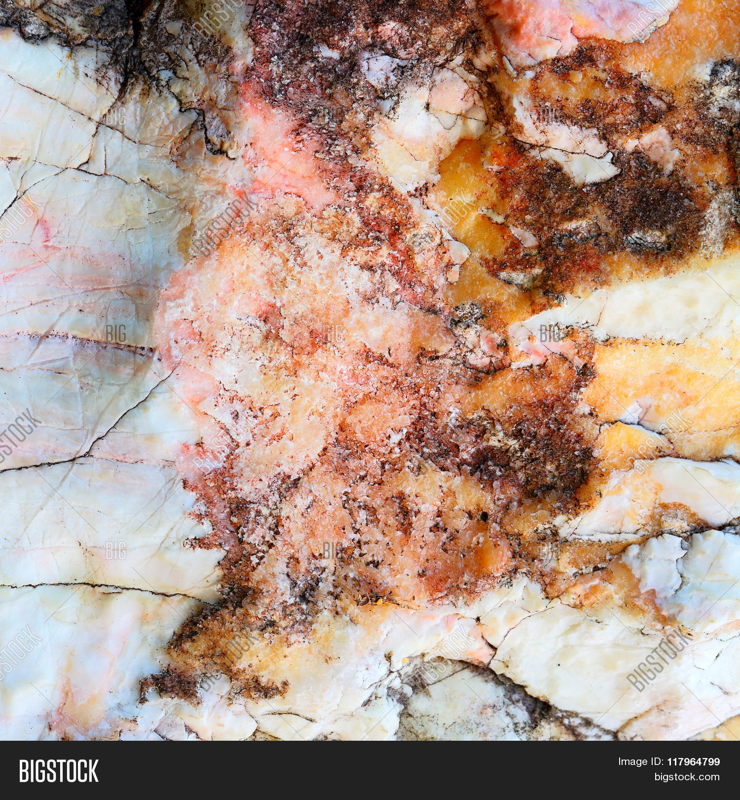 Line On Curve Marble Image & Photo (Free Trial) | Bigstock