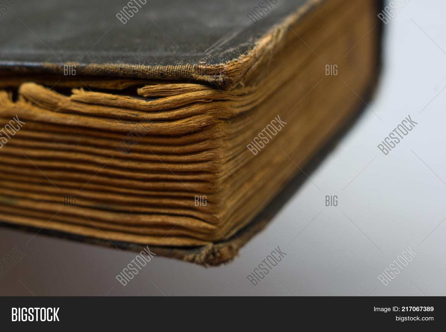 Part Old Tattered Image & Photo (Free Trial) | Bigstock