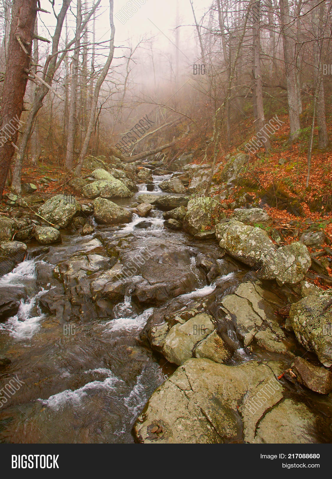 Robinson River Rapids Image & Photo (Free Trial) | Bigstock
