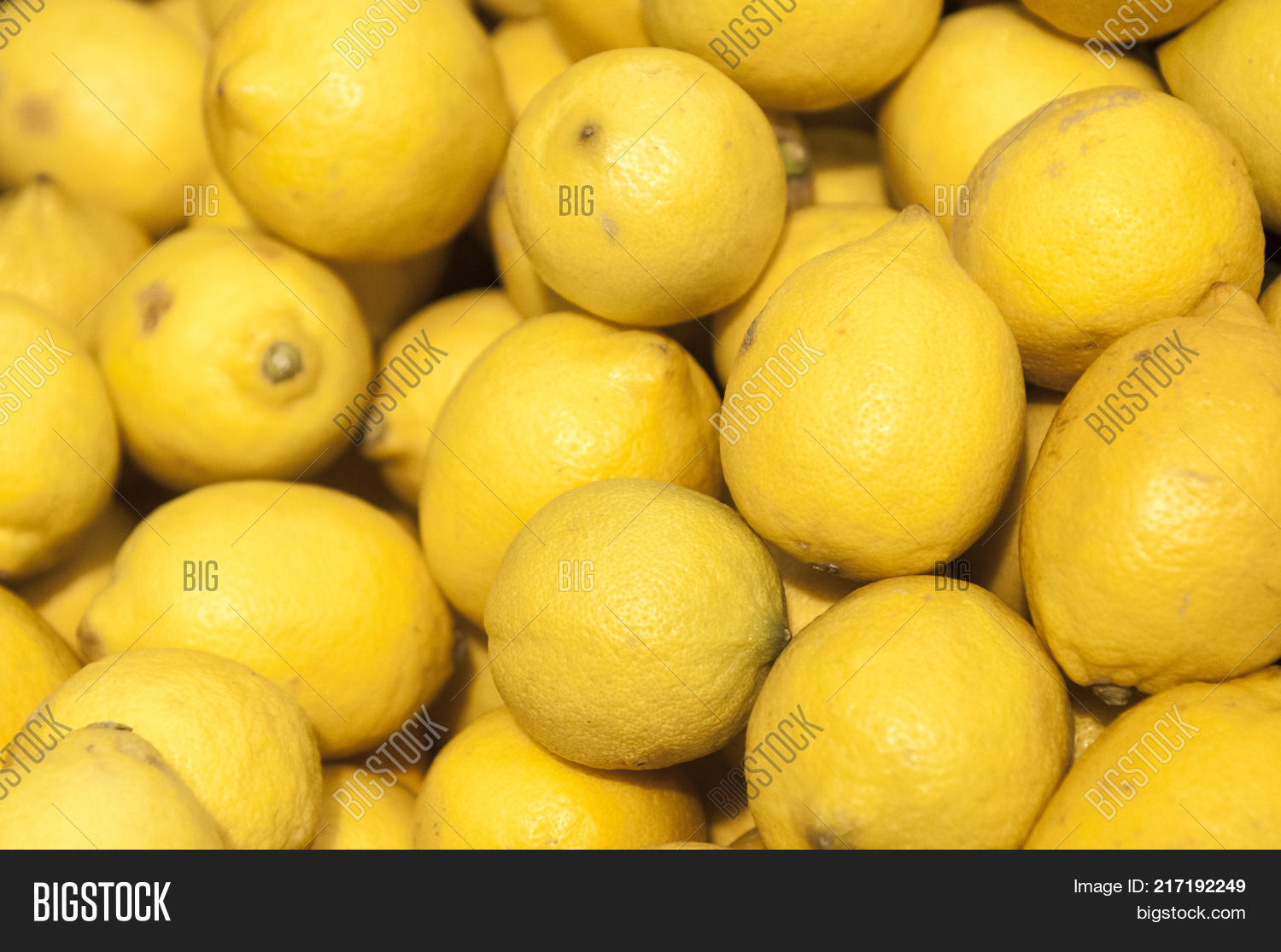 Tree's Ellipsoidal Image & Photo (Free Trial) | Bigstock