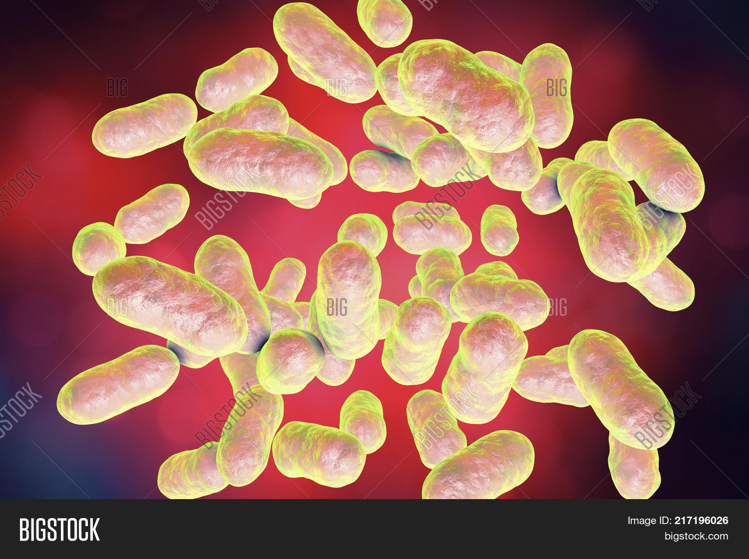 Prevotella Bacteria, Image & Photo (Free Trial) | Bigstock