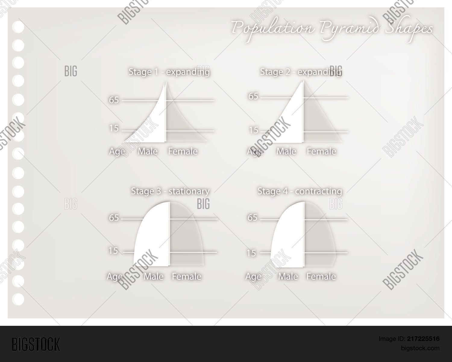Population Demography Vector & Photo (Free Trial) | Bigstock