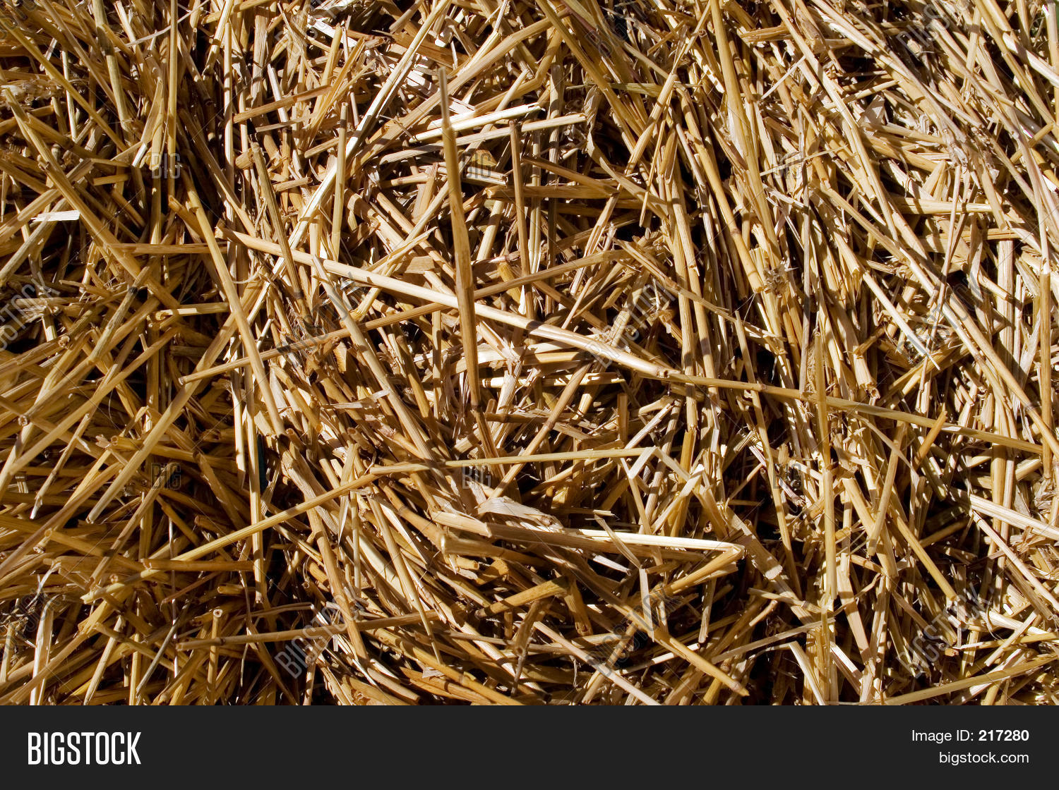 Hay Image & Photo (Free Trial) | Bigstock