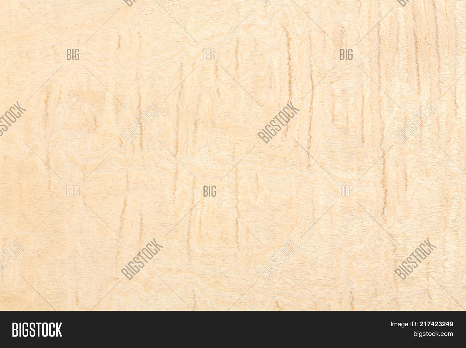 Burl Maple Wood Design Image & Photo (Free Trial) | Bigstock