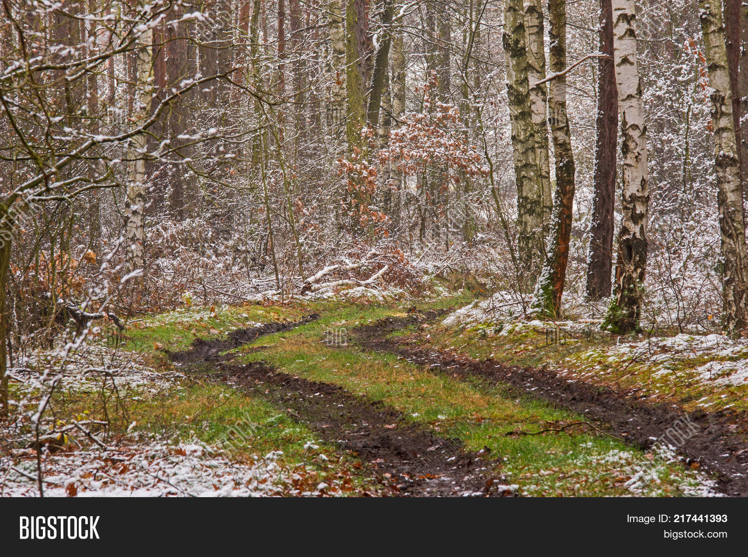 Beginning Winter. Image & Photo (Free Trial) | Bigstock