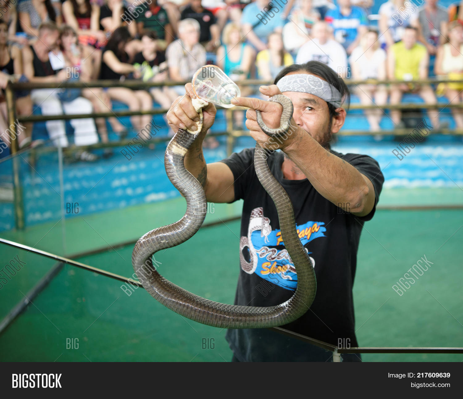 PattayaThailand- Image & Photo (Free Trial) | Bigstock