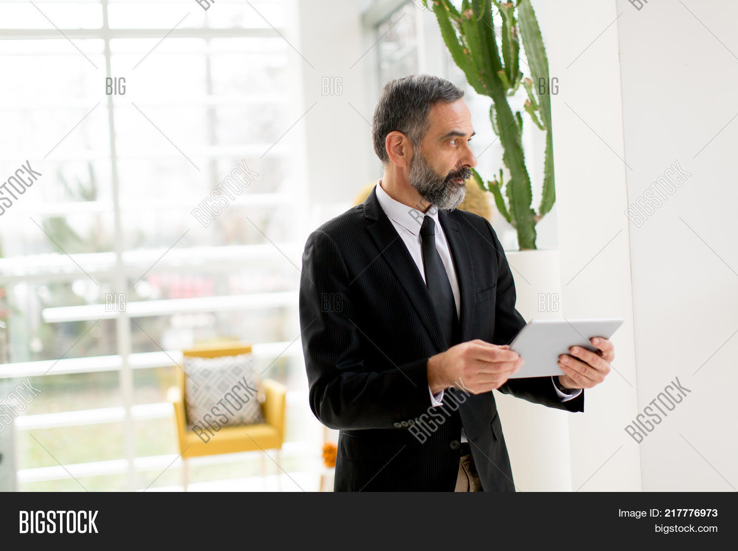 Middle Age Businessman Image & Photo (Free Trial) | Bigstock