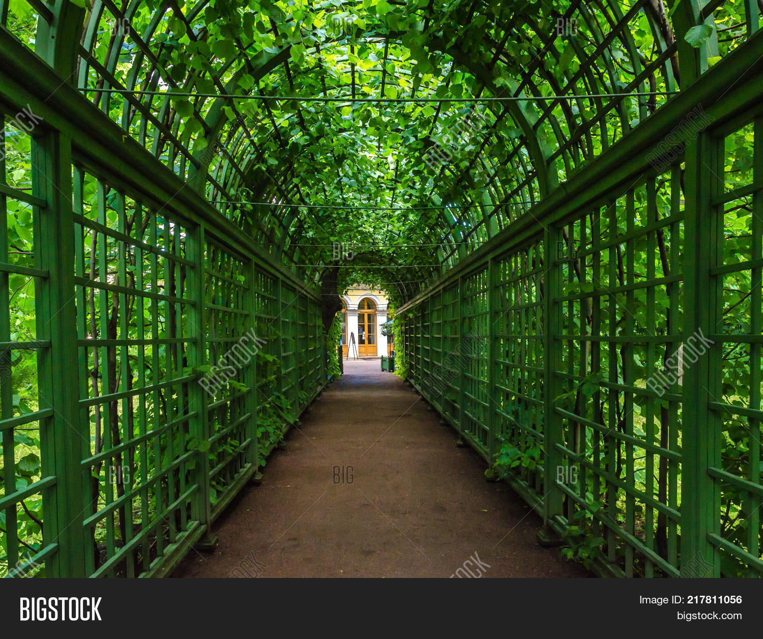 Long Driveway Under Image & Photo (Free Trial) | Bigstock