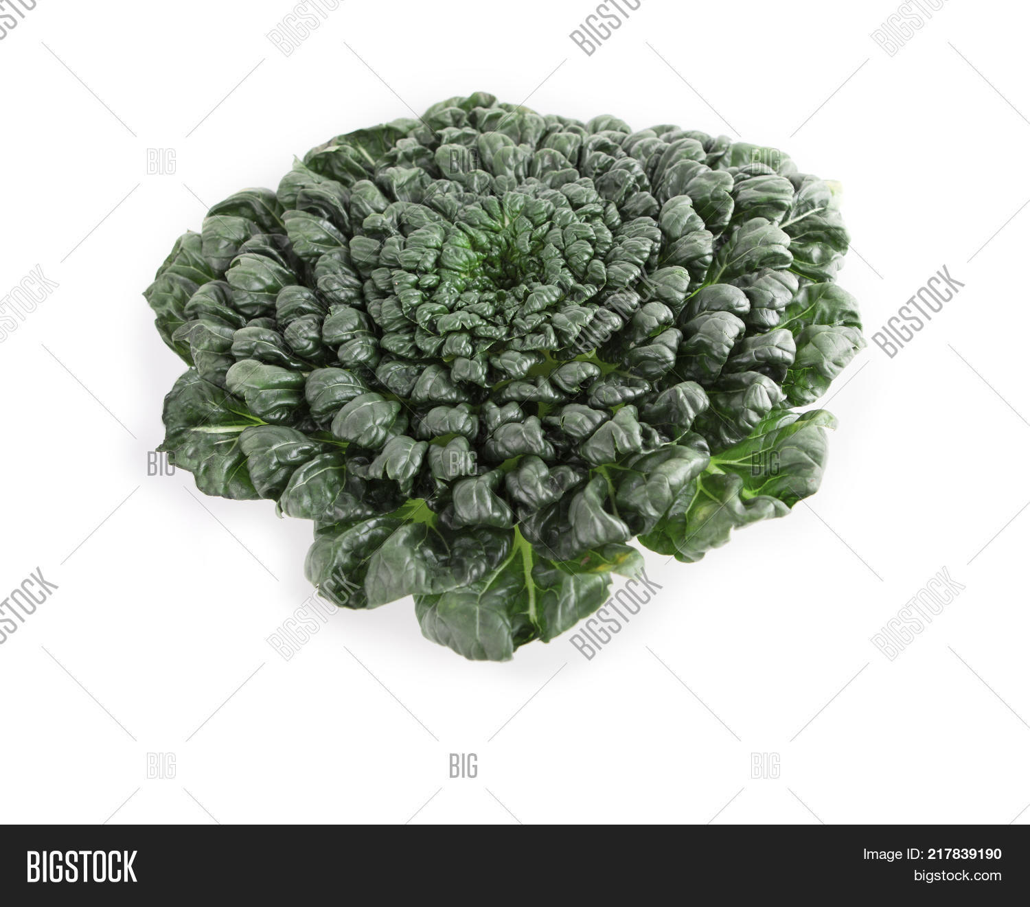 Chinese Flat Cabbage ( Image & Photo (Free Trial) | Bigstock