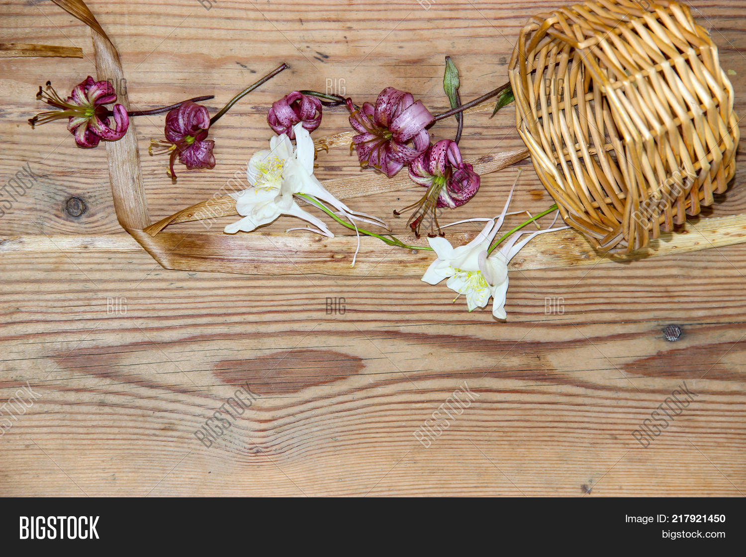 Dried Wilted Lilies On Image & Photo (Free Trial) | Bigstock
