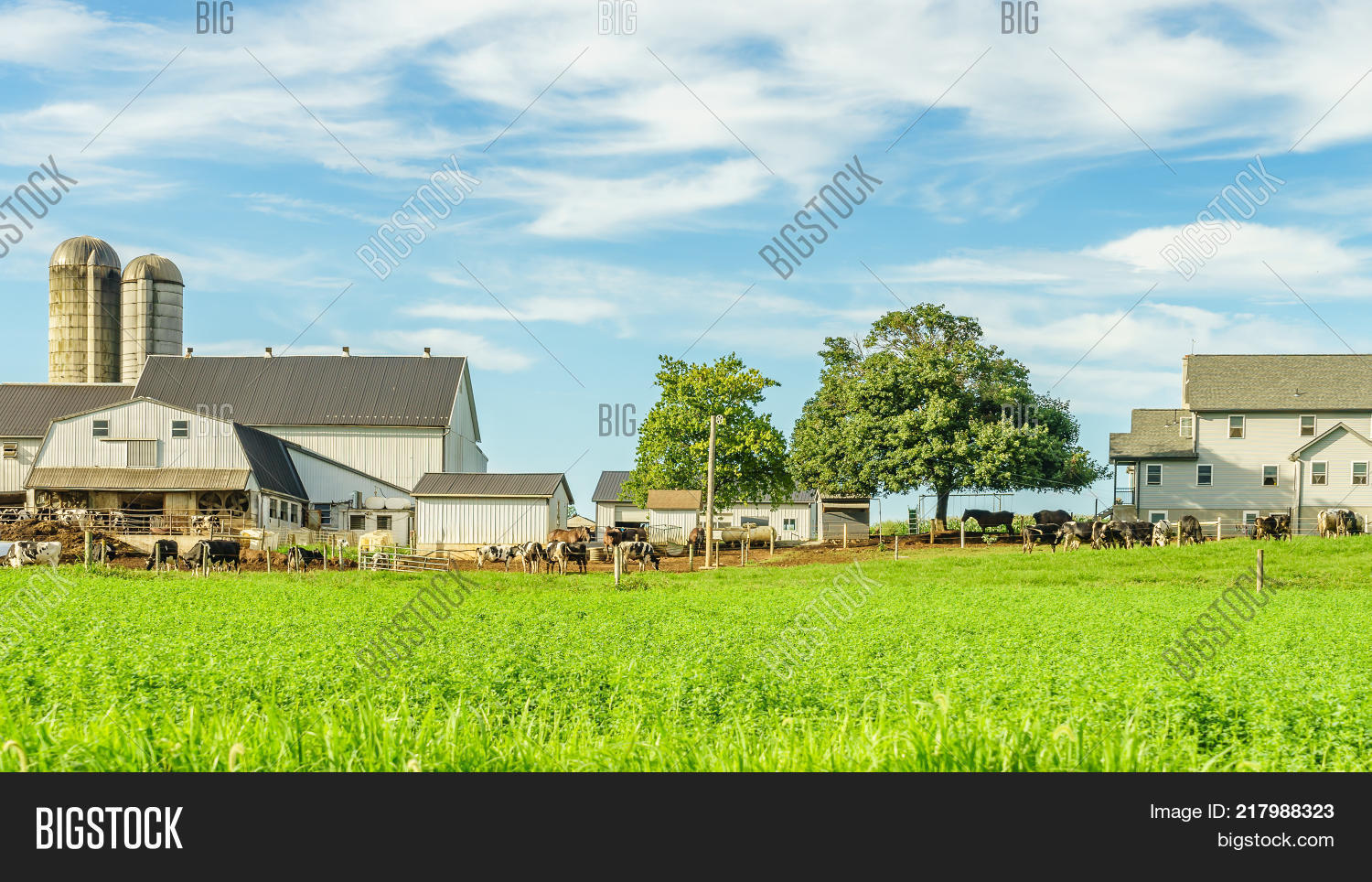 Amish Country Farm Image & Photo (Free Trial) | Bigstock