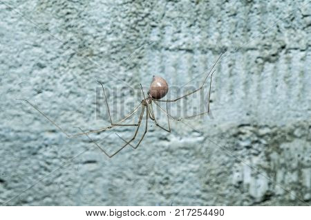 Common House Hold Image & Photo (Free Trial) | Bigstock