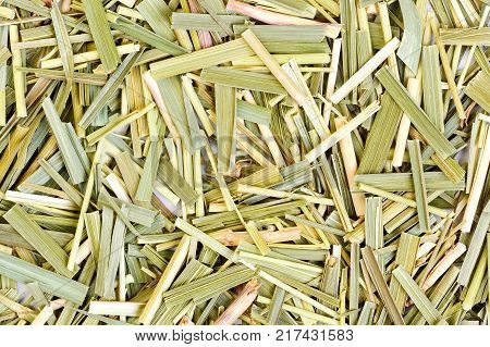 Sweetgrass Images, Illustrations & Vectors (Free) - Bigstock