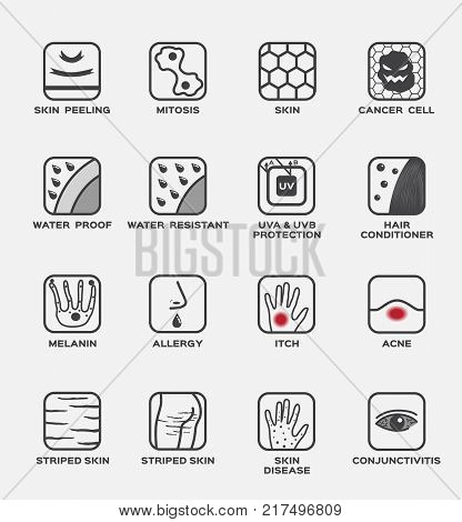 Skin Icon Vector Set Vector & Photo (Free Trial) | Bigstock