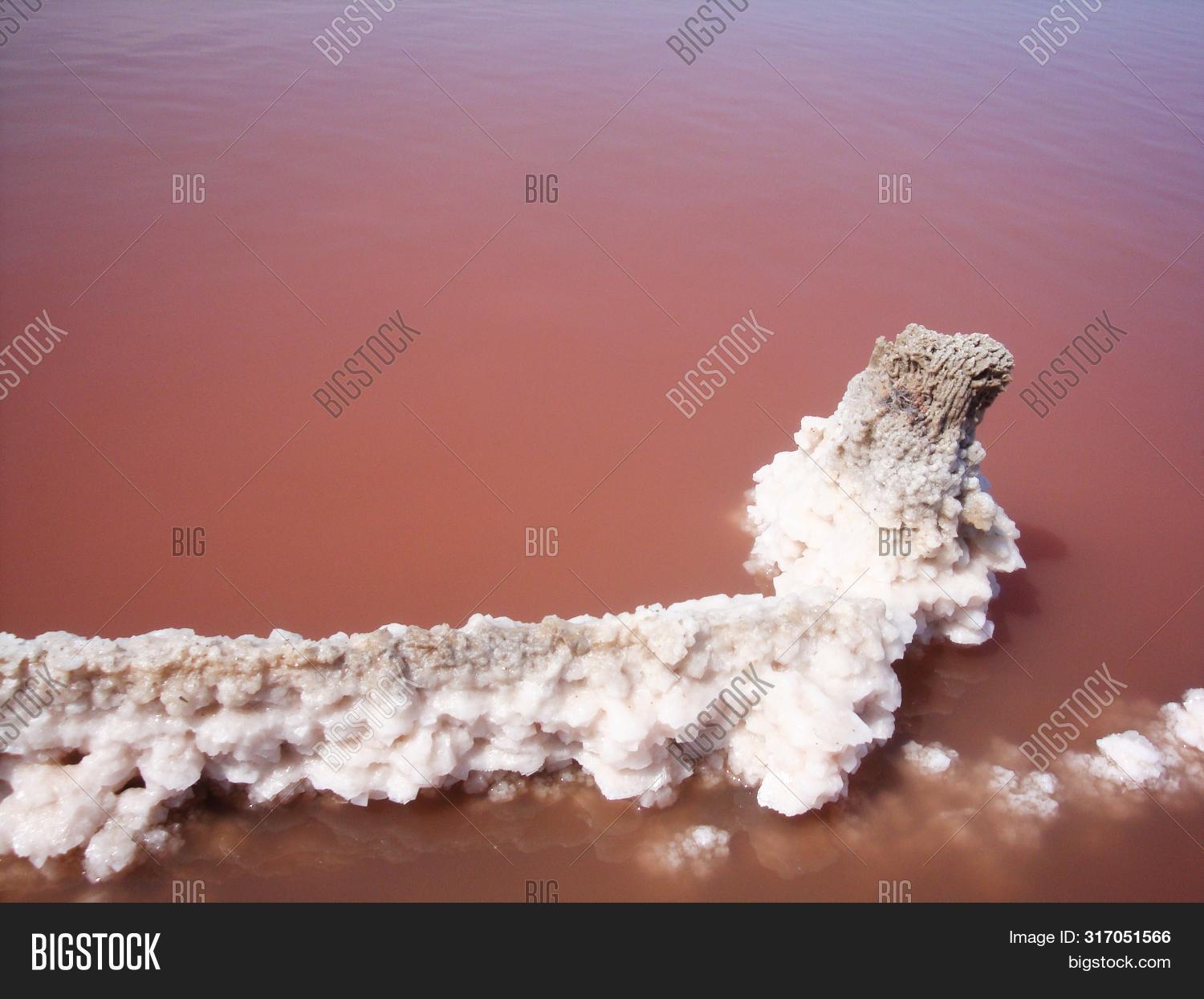 Imagen y foto Extraction Salt (prueba gratis) | Bigstock