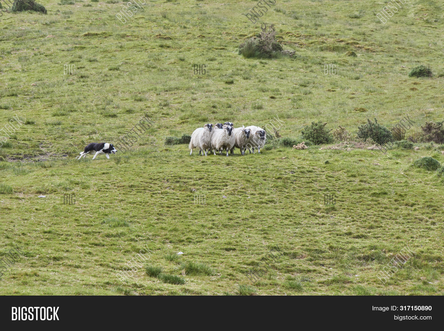 Ireland Trip (may 19- Image & Photo (Free Trial) | Bigstock